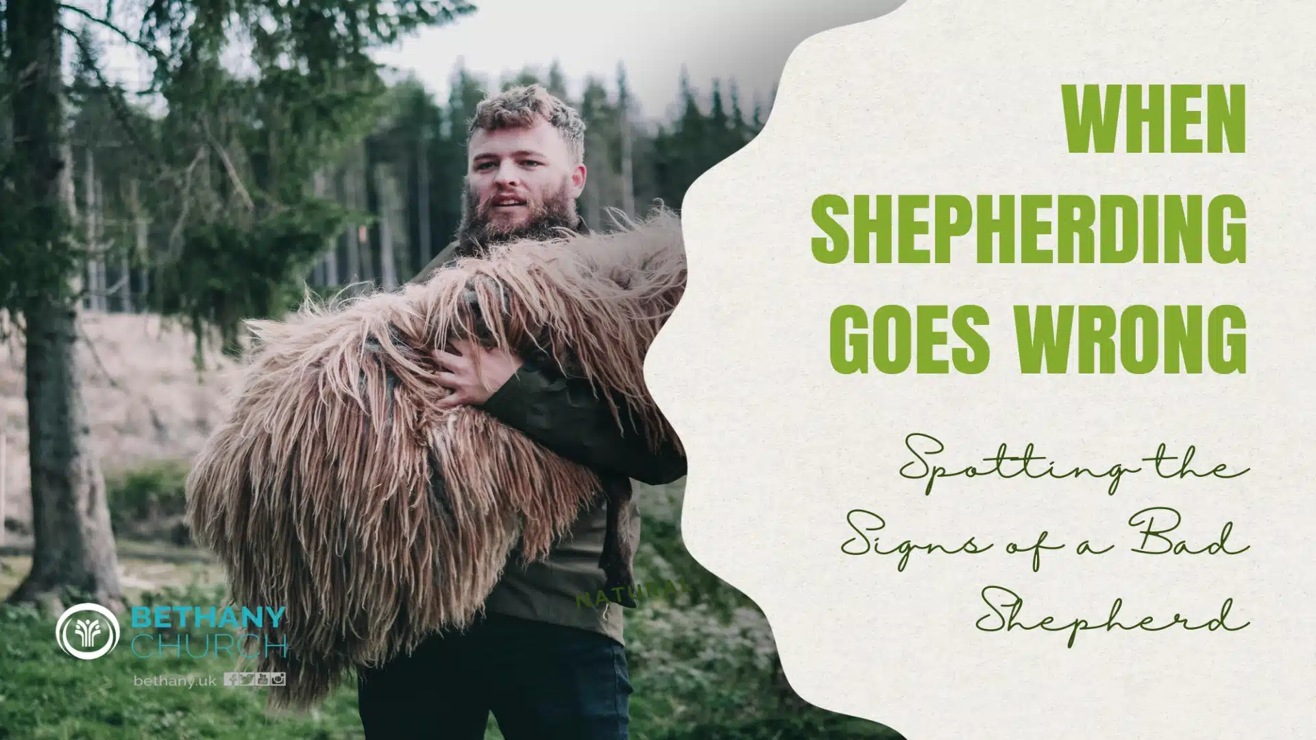 When Shepherding Goes Wrong — Spotting the Signs of a Bad Shepherd ...